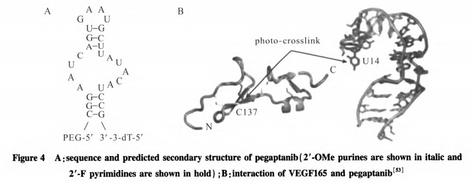 佰傲谷BioValley-生物医药知识聚合社区-生物医药学习共同体中心